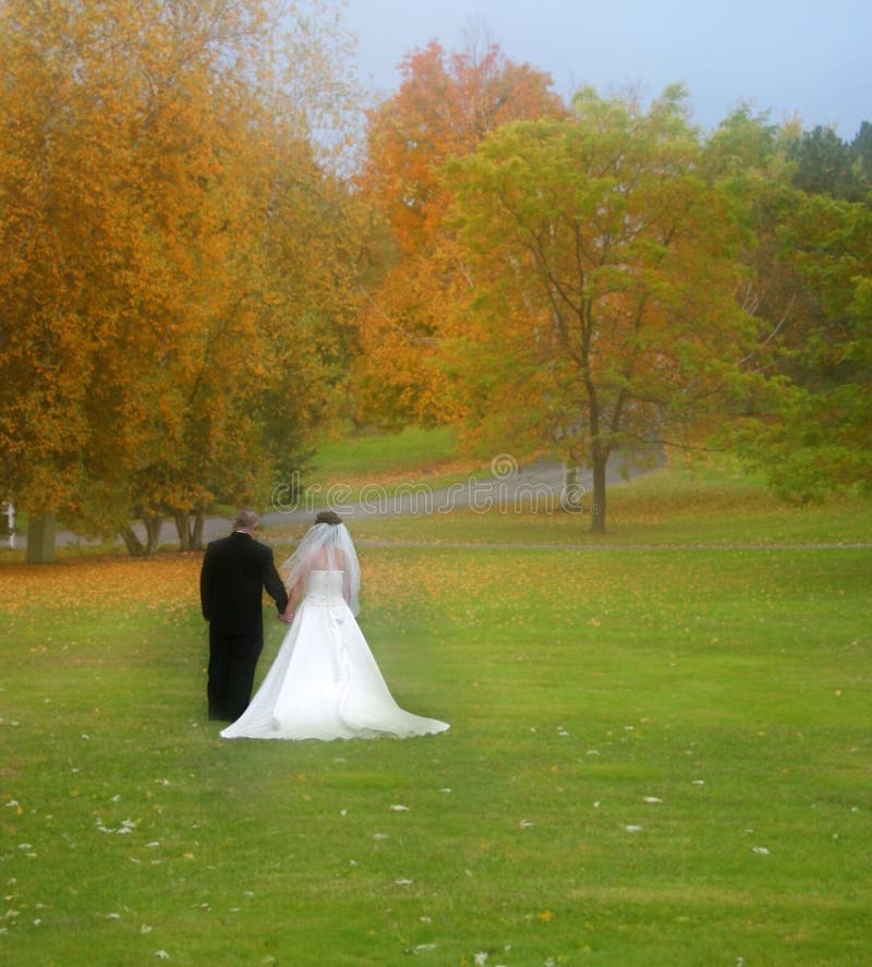 Out standing in the field stock photo. Image of white, dreamy - 142224