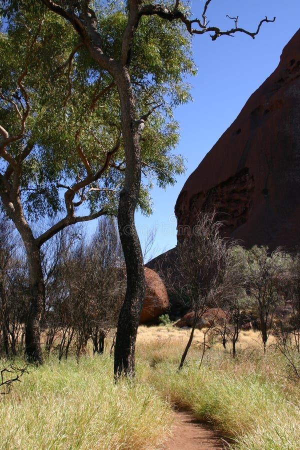 Outback 1 stock photo. Image of bush, rock, outback, desert - 95144