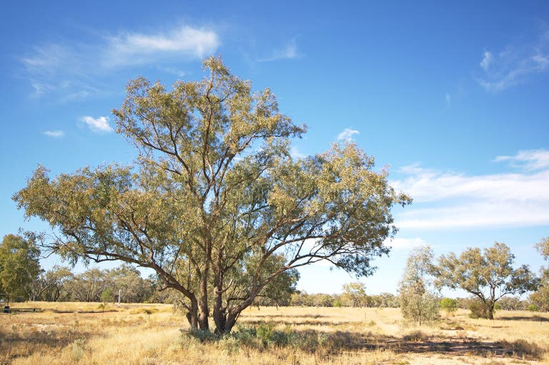 1,725 Outback Bush Tourist Park Stock Photos - Free & Royalty-Free ...