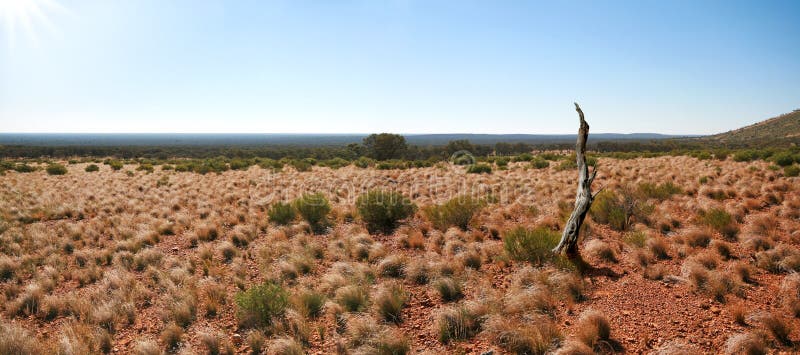 The Outback stock photo. Image of sunny, blue, hike, australia - 15351508
