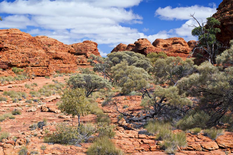 Australian Outback stock image. Image of australia, environmental ...