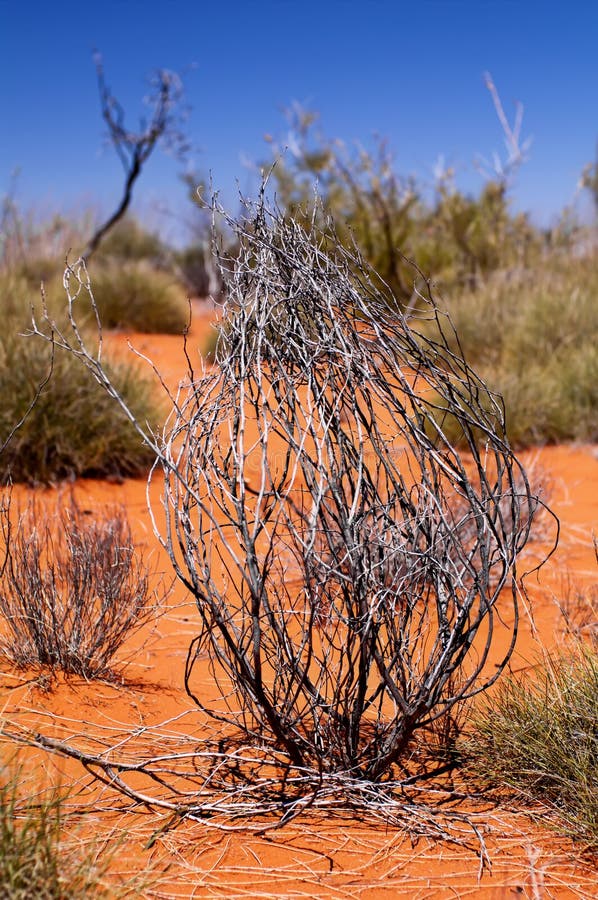 Outback Road stock image. Image of desert, natural, outdoor - 22887985