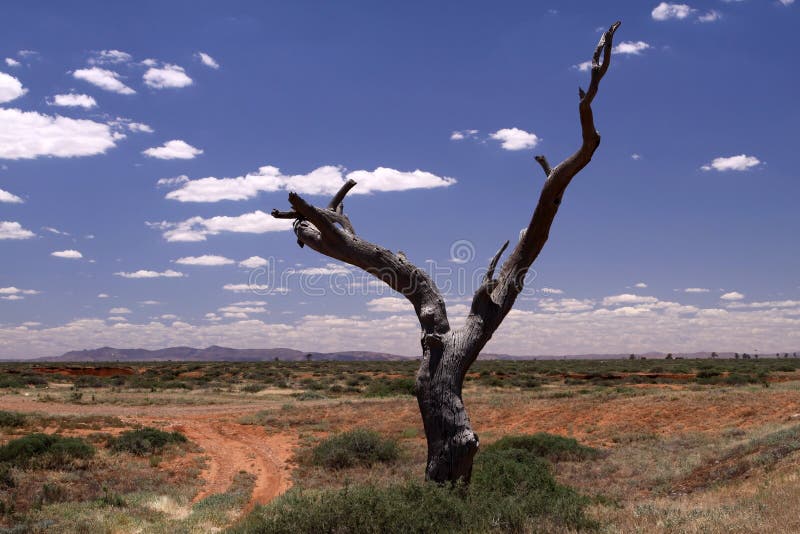 1,701 Outback South Australia Arid Stock Photos - Free & Royalty-Free ...
