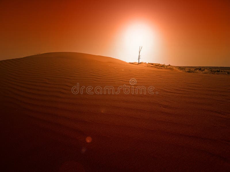 Outback Australia stock photo. Image of desert, adventure - 17651994