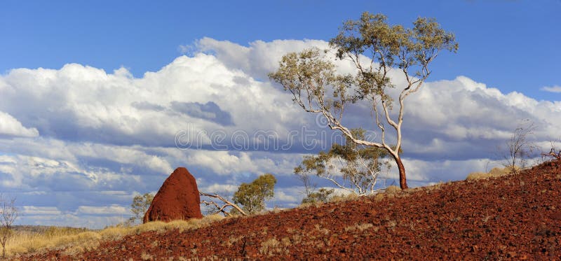 Outback Australia stock photo. Image of western, colour - 19463294
