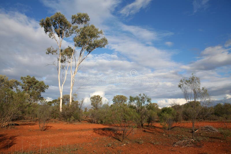 Australian Outback Oasis stock photo. Image of geology - 28649198