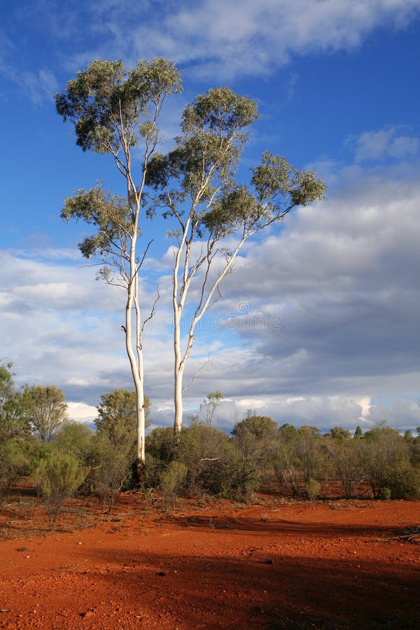 Outback Australia stock photo. Image of clouds, light, dirt - 811928