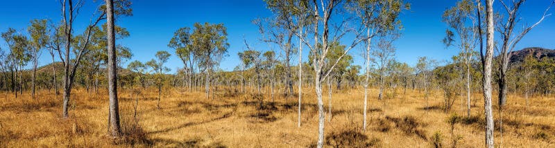 Outback Australia in the Dry Season Stock Photo - Image of peaceful ...