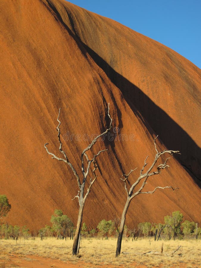 Outback Australia stock image. Image of australia, tree - 63326995