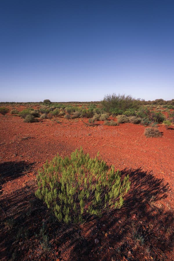 Outback Landscape, Central Australia, Northern Territory Stock Photo ...