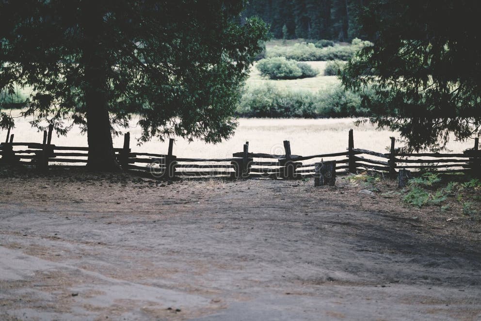 Outback fence stock photo. Image of outback, backgroung - 39900906
