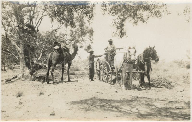 [Outback Mail In Central Australia] Picture. Image: 222544630
