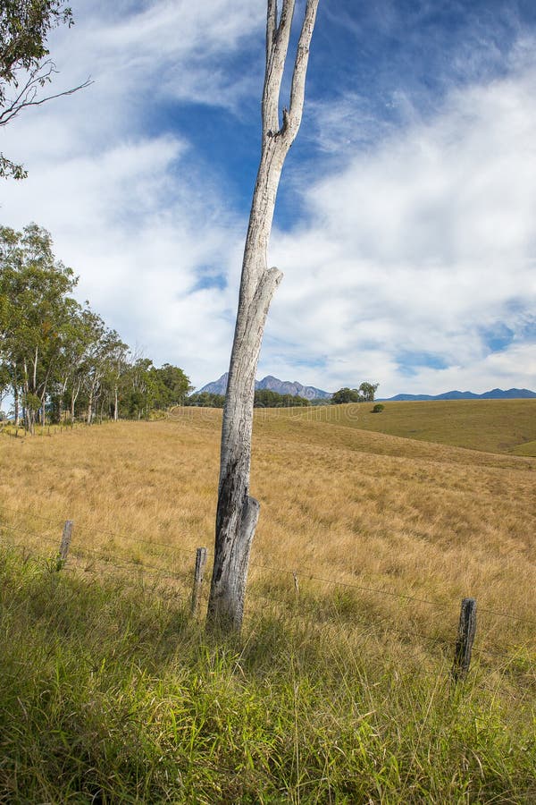 Outback Mountain and Field in the Scenic Rim, Queensland. Stock Image ...