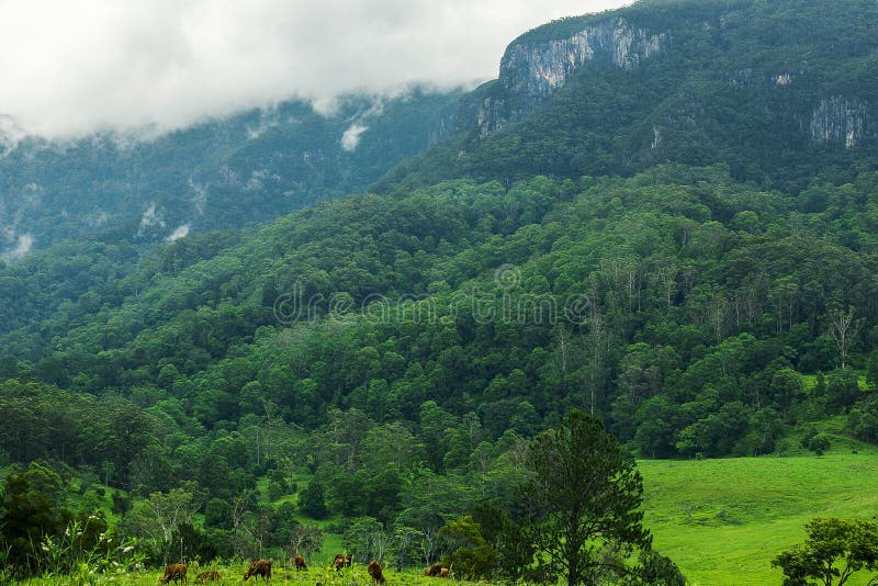 Outback Mountain in Queensland Stock Image - Image of australian ...