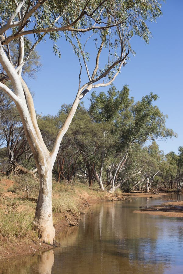 Outback River Landscape Australia Stock Image - Image of gascoyne ...