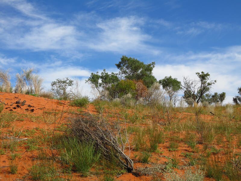 Outback road, australia stock photo. Image of outback - 65257054