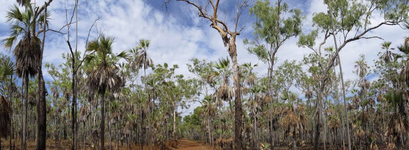 Outback road, australia stock photo. Image of outback - 65263314