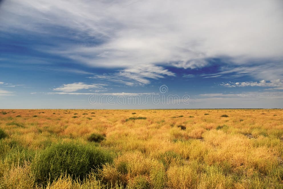 Outback Scenery stock image. Image of full, bourke, country - 8957385
