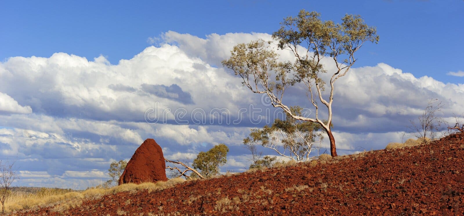 Vacation Outback Lake stock image. Image of daydreaming - 20109067