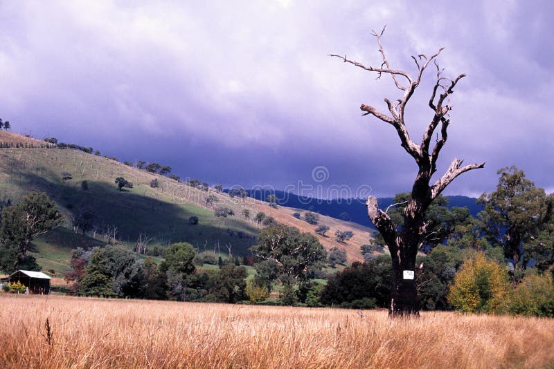 Outback Storm stock image. Image of quiet, desolation, farm - 22635