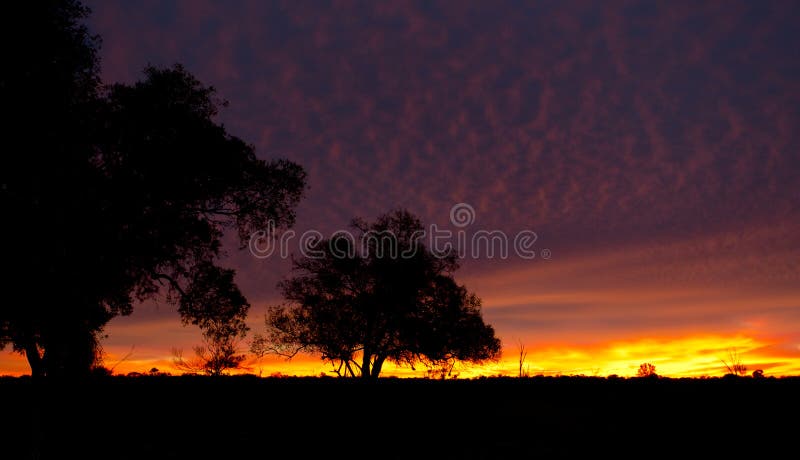 Outback Sunrise stock photo. Image of beginning, trees - 42407056