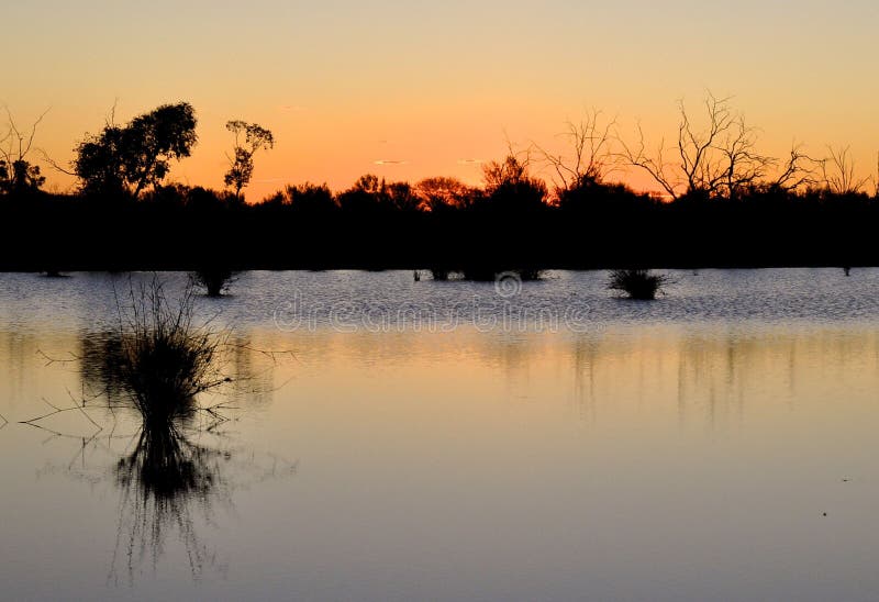 Outback Billabong Tree at Sunset Stock Image - Image of billabong ...