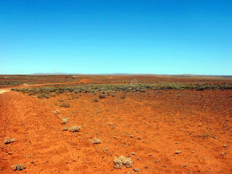 Outback Desert Tree stock image. Image of scene, lone - 29763423