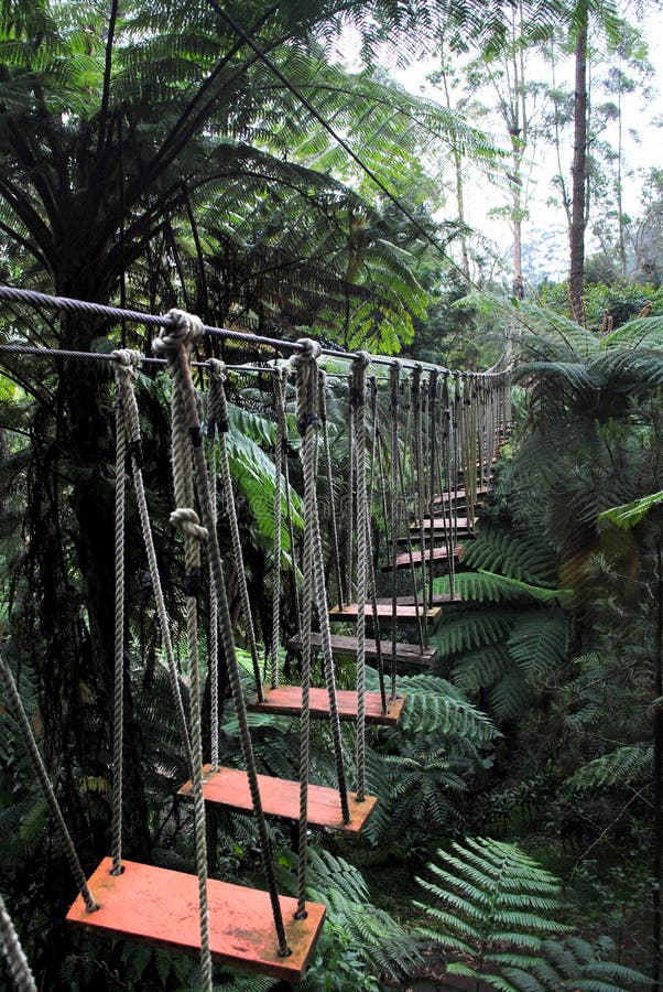 Outbound Site in Forest in One Place in Bandung Stock Image - Image of ...