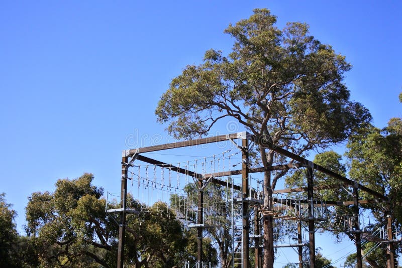 Outdoor Adventure Treetop Crossing Obstacles Course Stock Image - Image ...