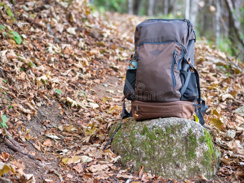 Outdoor Backpack Next To a Tree Trunk with Green Moss in the Forest ...