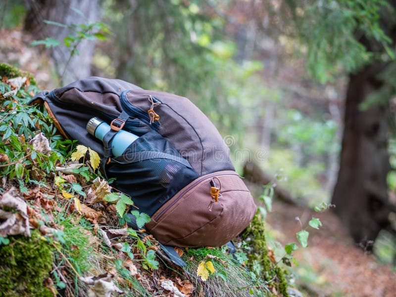 Outdoor Backpack Next To a Tree Trunk with Green Moss in the Forest ...