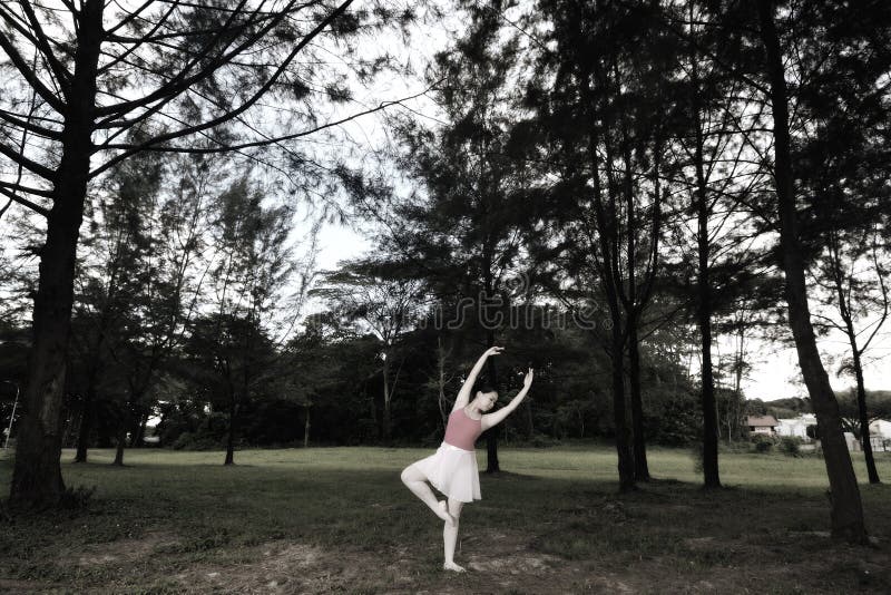 Classical Ballet Picture. Image: 1213086