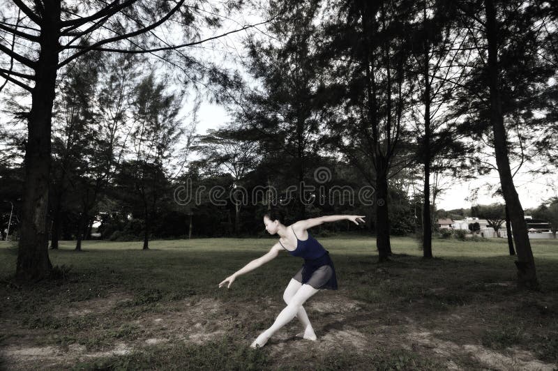 Classical Ballet Picture. Image: 1213086