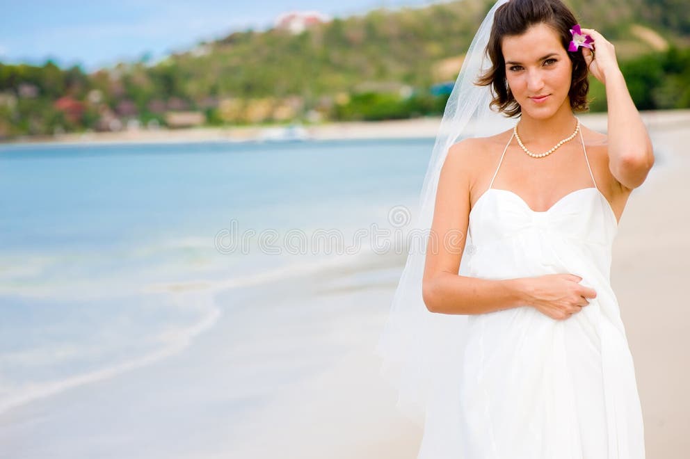 Outdoor Bride stock photo. Image of holding, attractive - 4987356