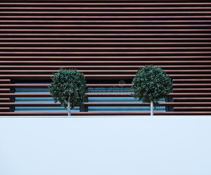 Outdoor Building Design with Two Small Trees Stock Photo - Image of ...