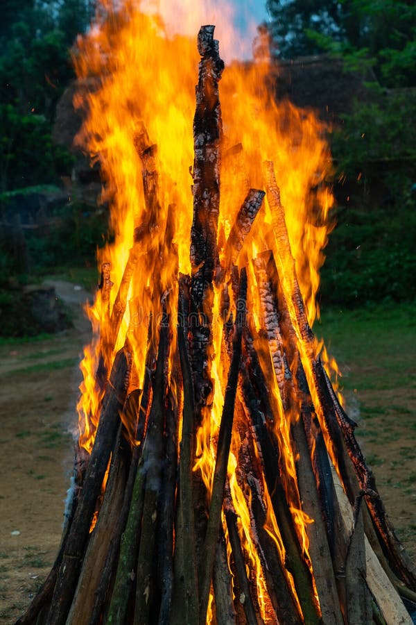 Outdoor Camp Fire Burning at Blue Hour or Twilight Stock Photo - Image ...