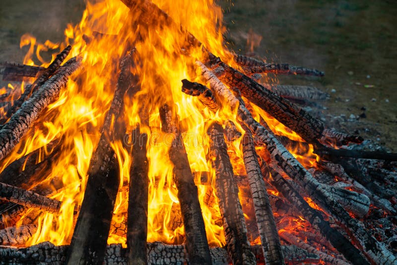 Outdoor Camp Fire Burning at Blue Hour or Twilight Stock Image - Image ...