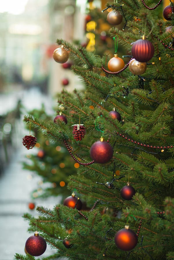 Outdoor Christmas Decorated Tree Stock Image - Image of outdoor ...