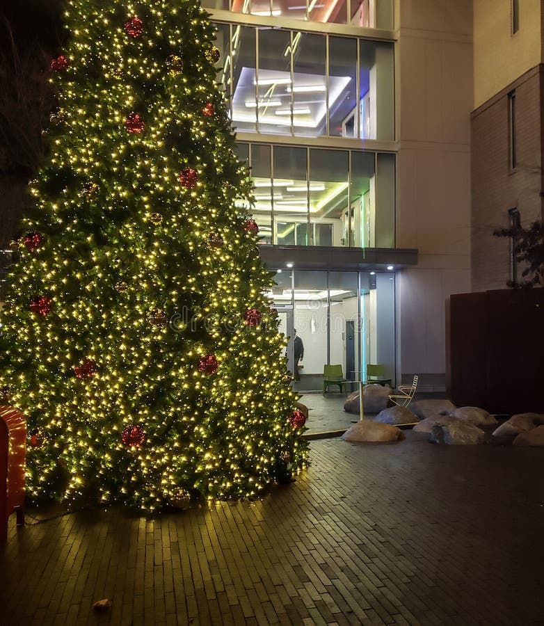 Outdoor Christmas Tree at Night, Bridgepark, Dublin, Ohio Stock Image ...