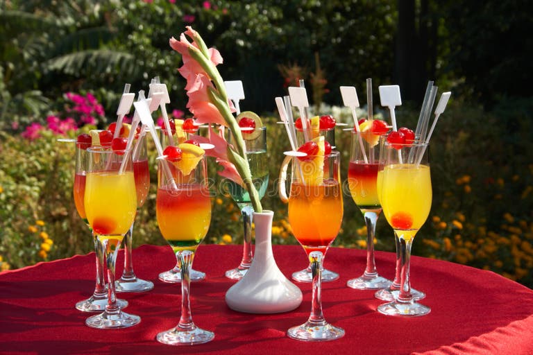 20,729 Outdoor Cocktail Party Stock Photos - Free & Royalty-Free Stock ...