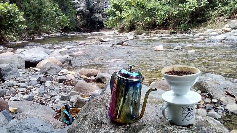 Outdoor coffee brewing stock photo. Image of water, tree - 223049886