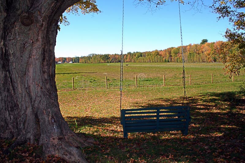Outdoor country swing stock image. Image of maple, paddock - 1451987
