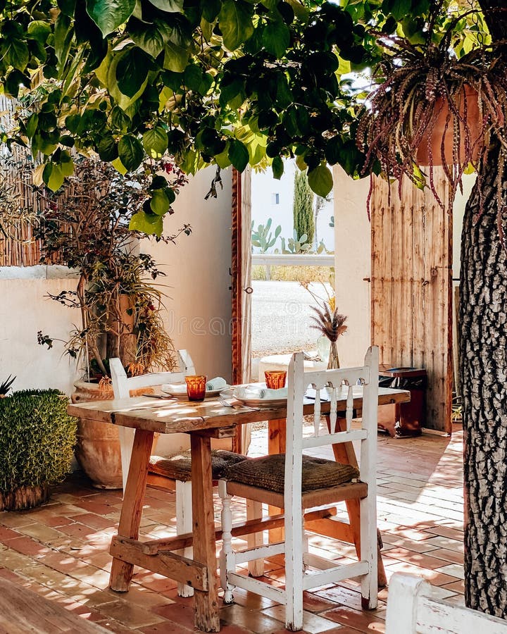 Outdoor Dining Setting Situated Beneath a Lush Green Tree Stock Photo ...
