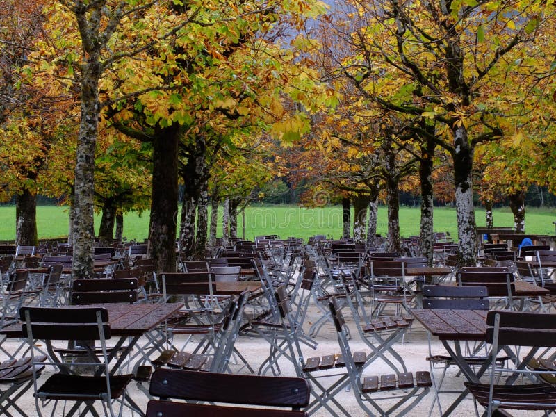 Outdoor Dining Table with Autumn Forest and Green Field Stock Image ...