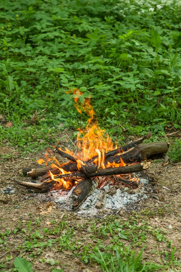 Outdoor Fire in the Spring Forest Stock Photo - Image of orange, bright ...