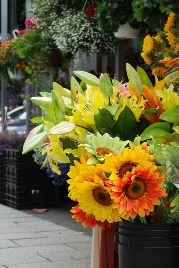 Flower stand in Paris stock photo. Image of sell, outdoor - 2825062