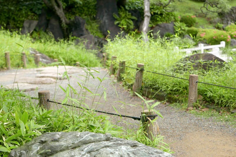 Outdoor Footpath, Green Plants in Garden Stock Image - Image of season ...