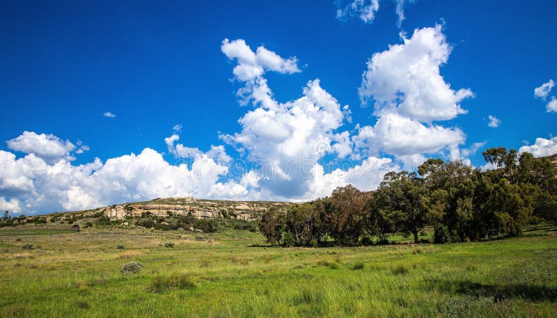 Outdoor is FREEdom stock photo. Image of life, green - 72465910