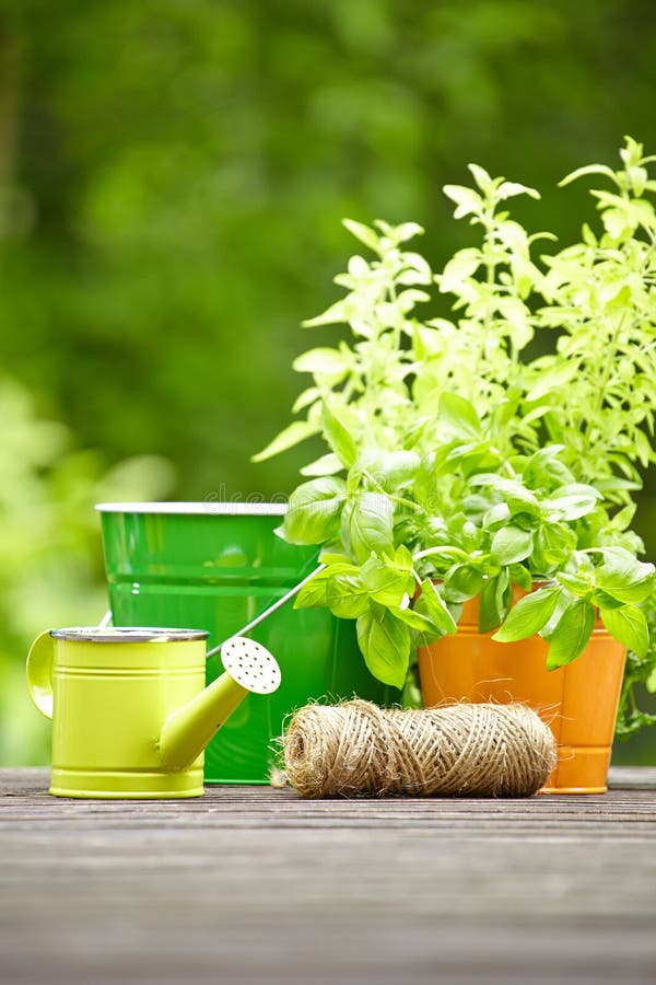 Gardening Tools and Spring Flowers on the Terrace Stock Photo - Image ...