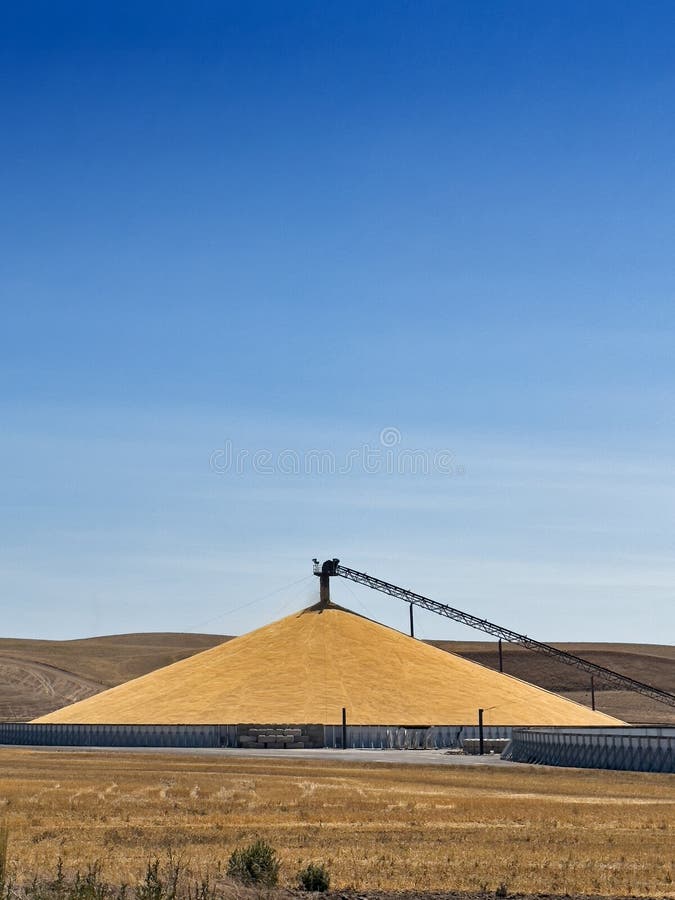 Grain storage bin stock photo. Image of rural, grain - 62942340